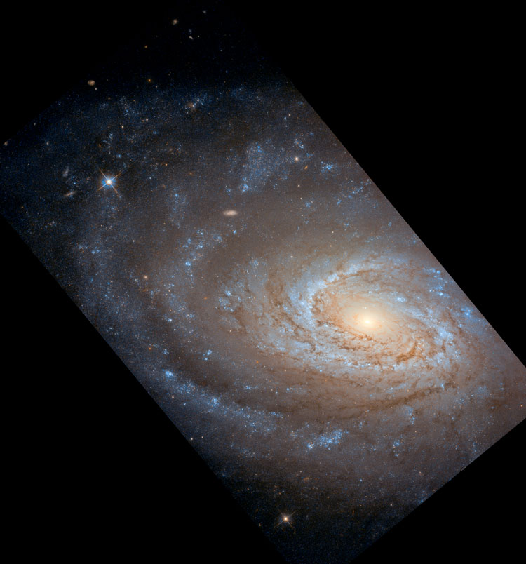 New General Catalog Objects: NGC 4650 - 4699